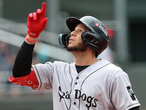 Red Sox OF prospect Allan Castro recognized as Eastern League Player of ...